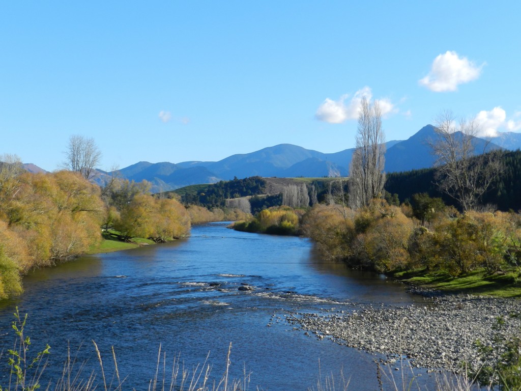 Nelson New Zealand – NelsonWebvalley 2 | Nelson New Zealand - NelsonWeb